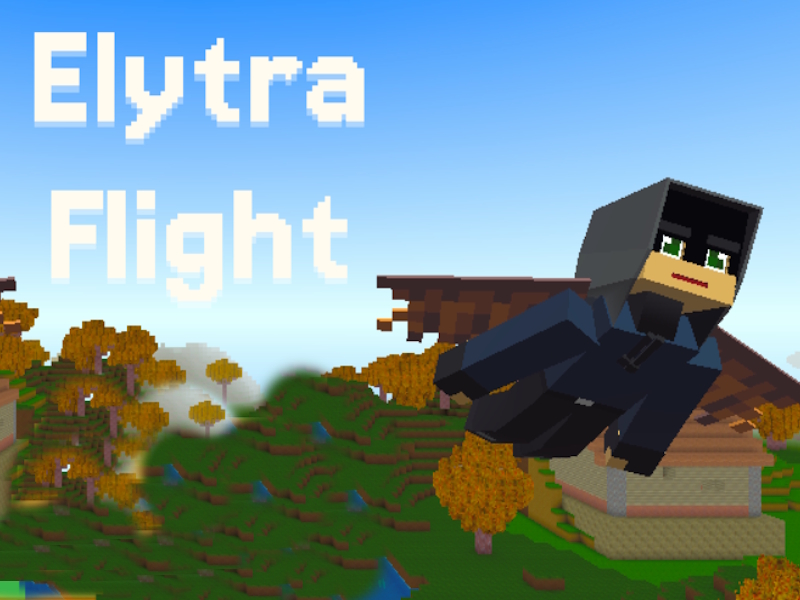 Elytra Flight 🕹️ Play online on SGameS