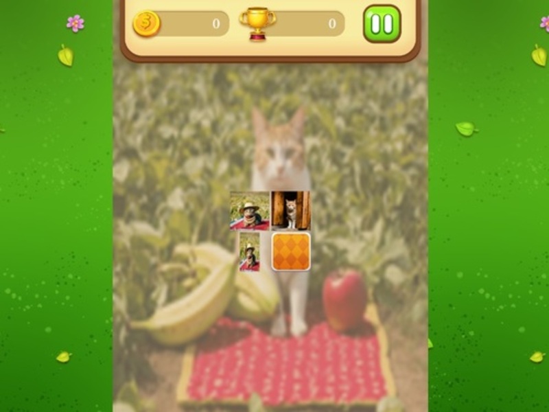 Farm Cat Memory Match — Play Free Online on SGameS