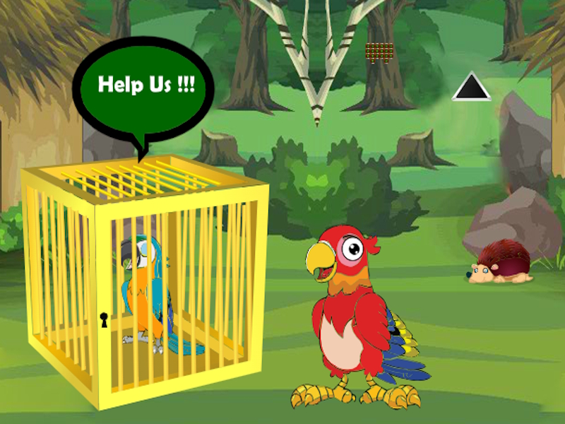 Release Trapped Macaw Buddy 🕹️ Play online on SGameS