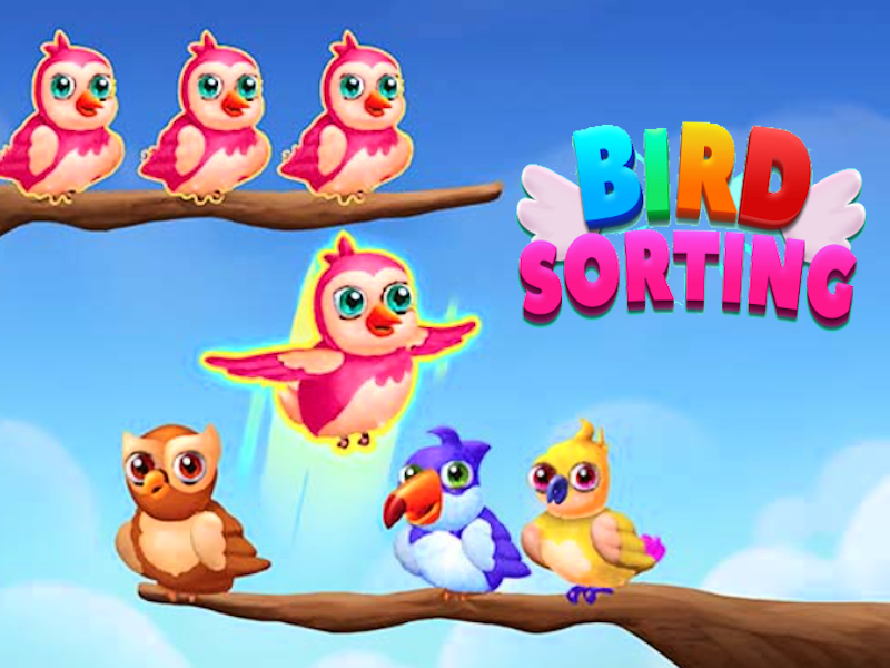 Birds Sorting — Play Free Online on SGameS